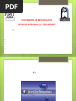 Interactive Petrophysics Basic User's Guide | PDF | Computer File | Logarithm