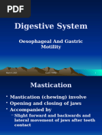 Understanding Haustrations in the Colon | PDF | Large Intestine | Organ ...