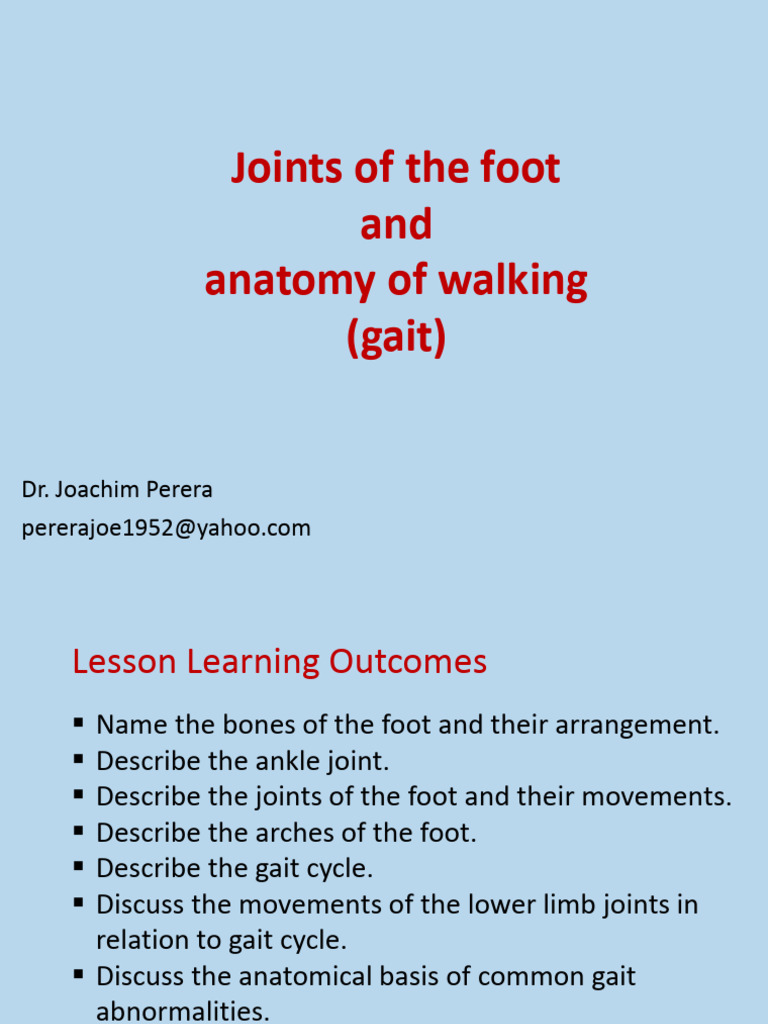 Joints of Foot Gait 2025 | PDF | Foot | Ankle