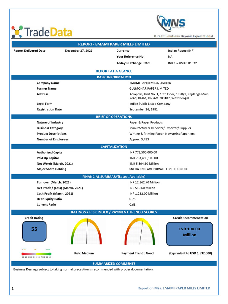 Emami Paper Mills Limited Overview | PDF | Stock Exchange | Business