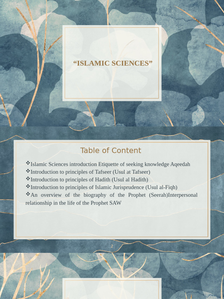 Overview of Islamic Sciences and Knowledge | PDF | Hadith | Quran