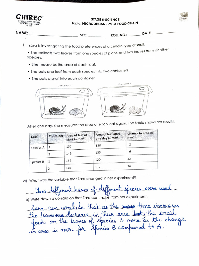 Microorganisms & Food web Answer Key | PDF | Organisms