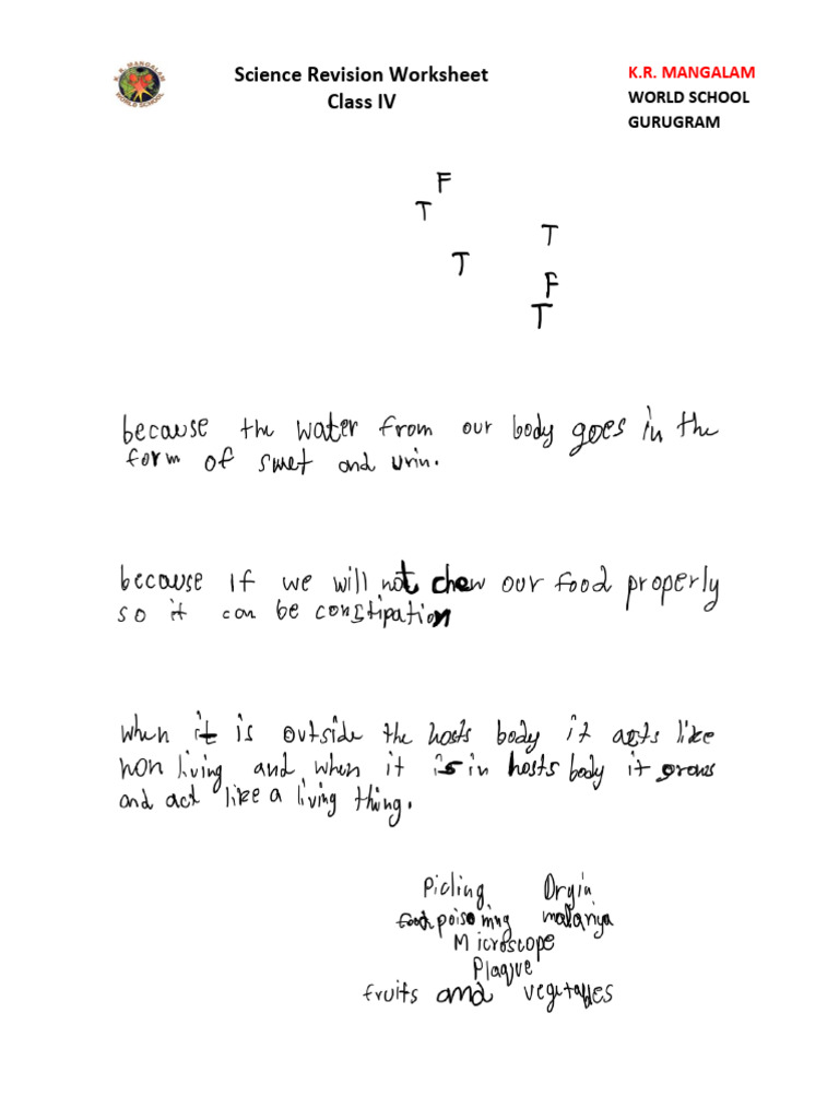 Science CH Digestion and The Role of Microbes Worksheet UT2 | PDF