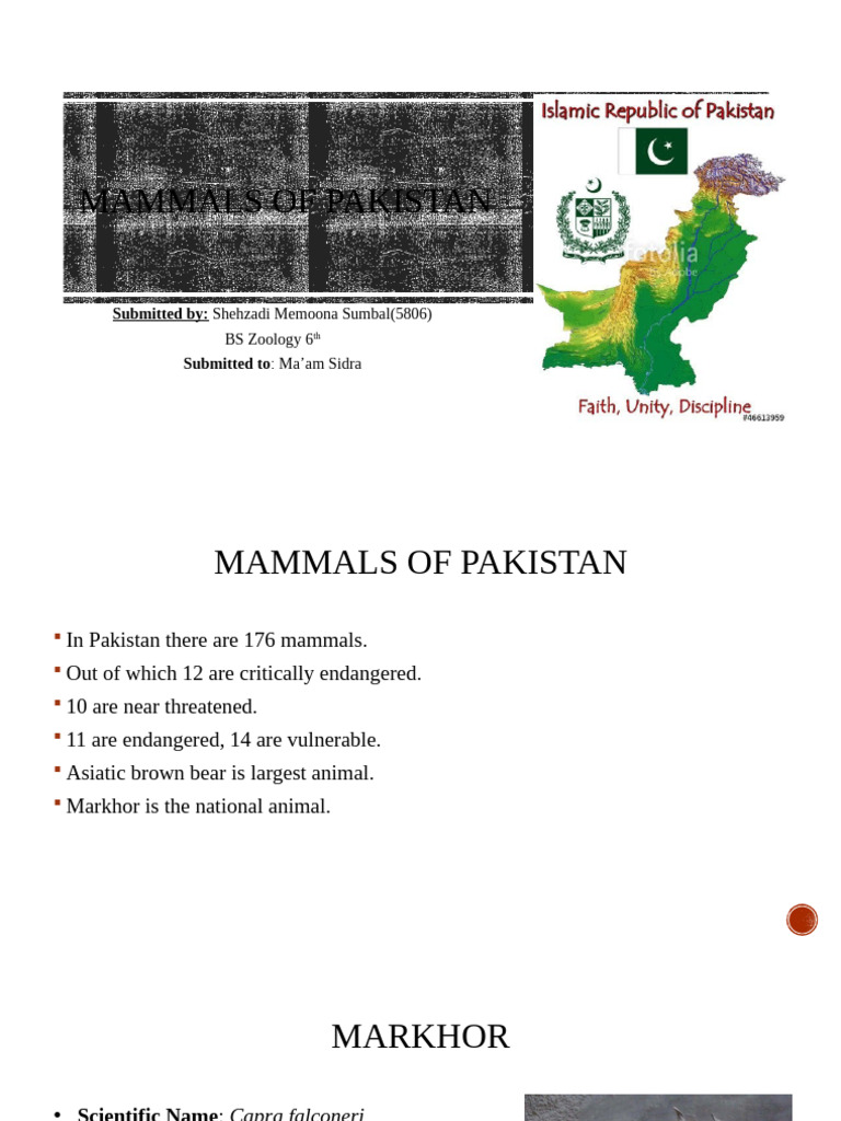 Mammal Species in Pakistan Overview | PDF