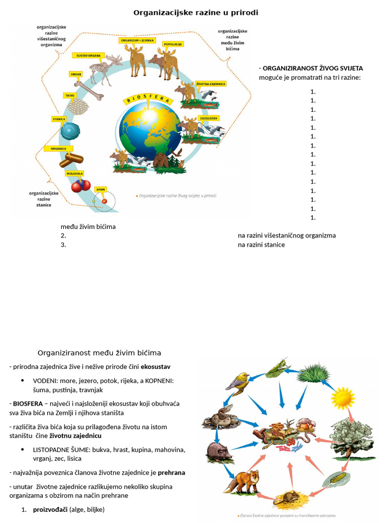 Organizacijske Razine U Prirodi | PDF