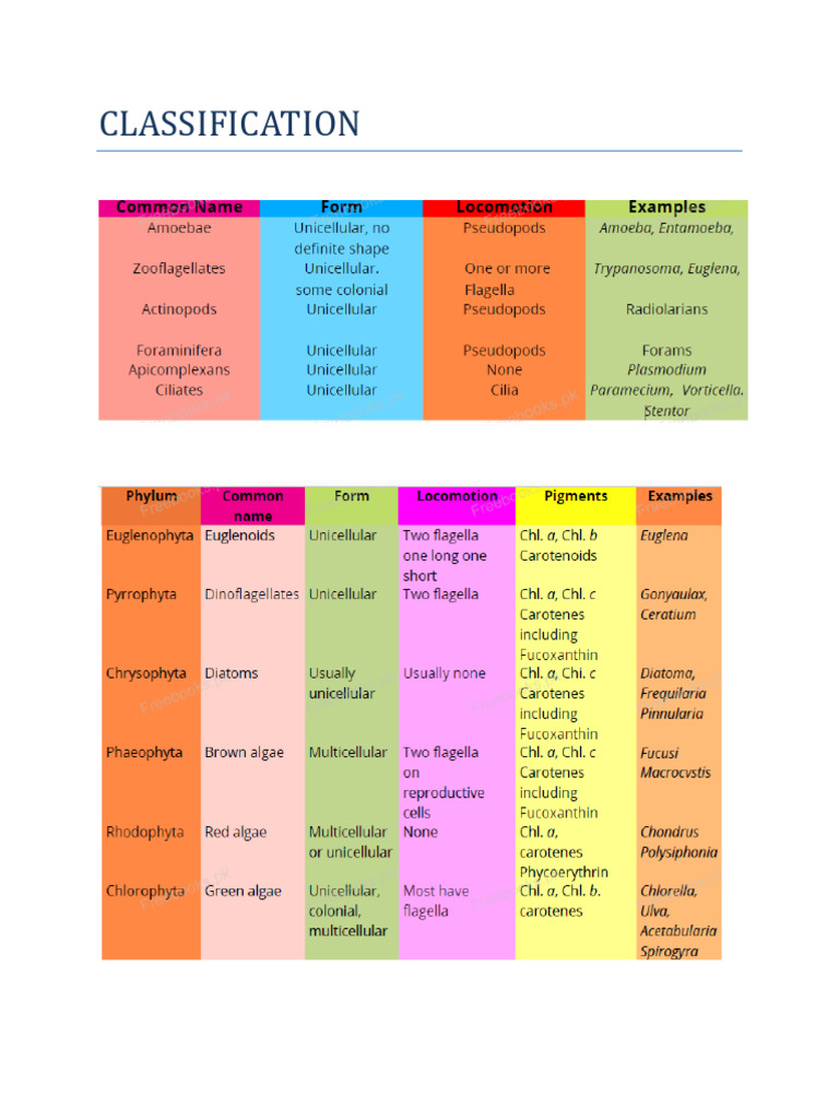 Classification and Tables 1st year and 2nd year biology | PDF
