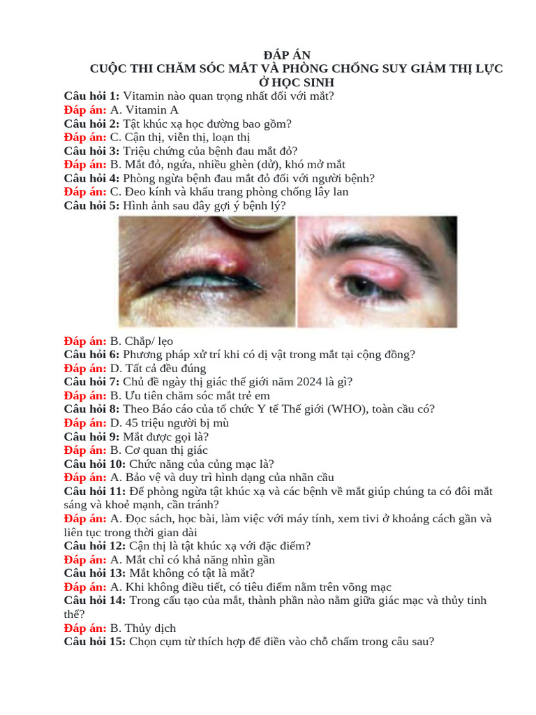 Dap An Cuoc Thi Ve Mat | PDF