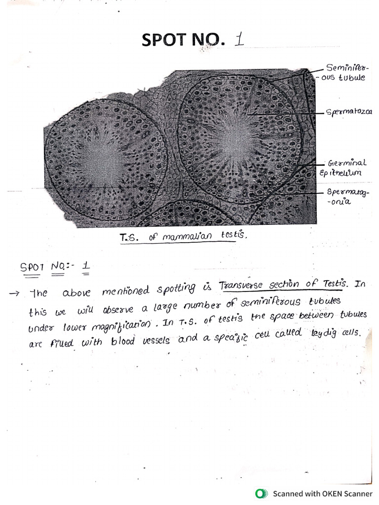 Biology spotting by dr. Nirav soni | PDF