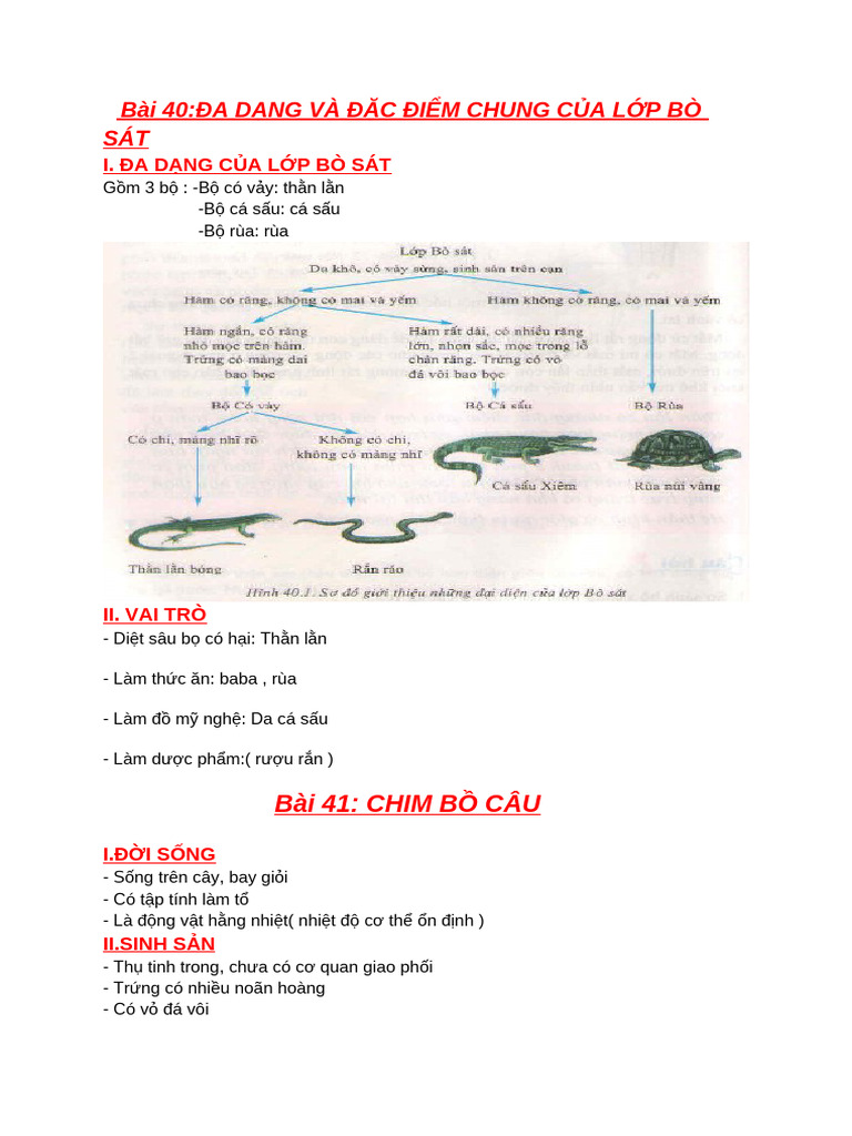 Bài Sinh KTR Hkii | PDF