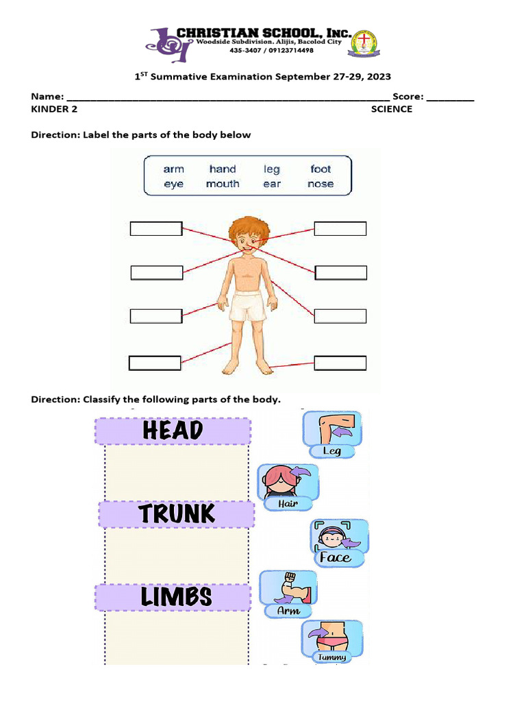 Kindergarten Science Test 1st Exam | PDF