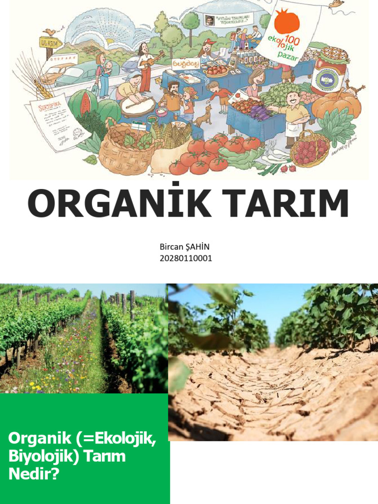 Organi̇k Tarim | PDF