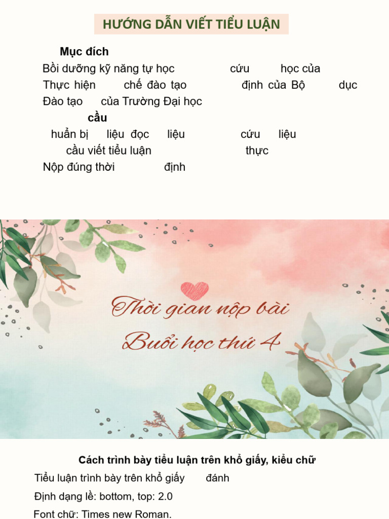 Huong Dan Tieu Luan | PDF