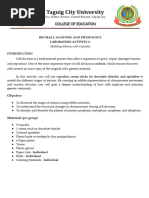 Oreo Mitosis Lab Worksheet | PDF | Mitosis | Cell Biology