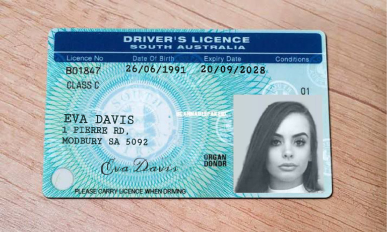 _ driver license | PDF