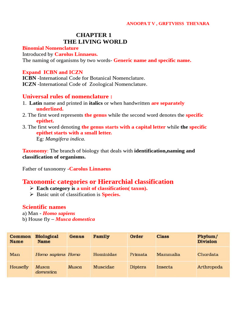 +1 Zoology Capsule Notes 2025 | PDF | Heart Valve | Axon