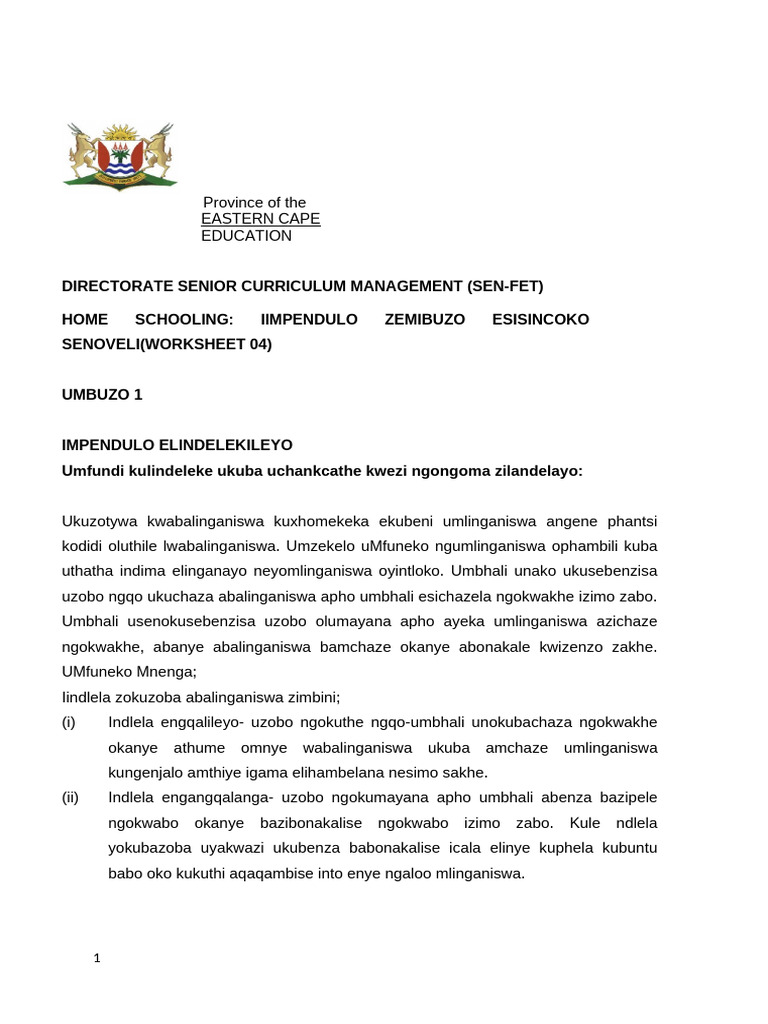 Isixhosa Answer Worksheet 04 Essay Questions Novel 2 | PDF