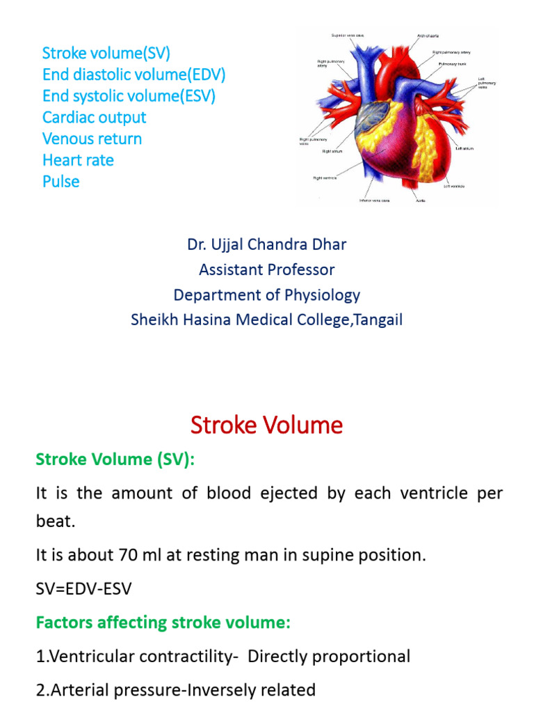 Lecture-CVS-item-4 (SV,EDV,ESV,CO,VR,HR,Pulse)(1) | PDF | Pulse | Heart