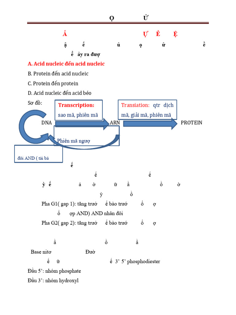 ÔN LÝ THUYẾT SHPT | PDF