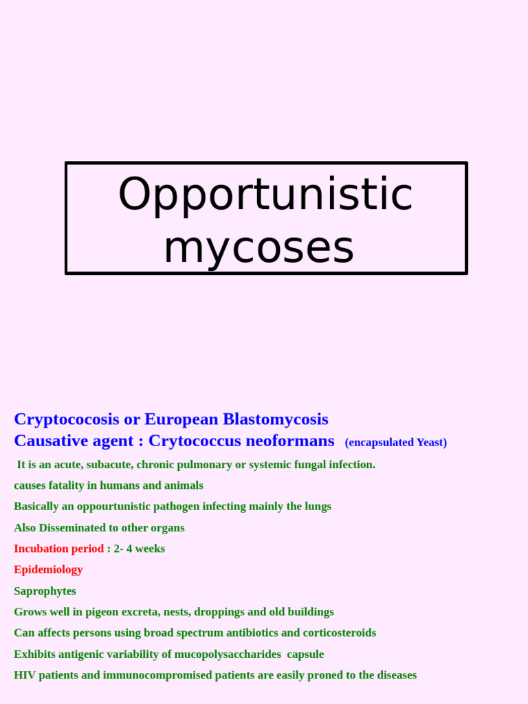 Opportunistic Mycosis Cryptococcus | PDF | Infection | Diseases And Disorders