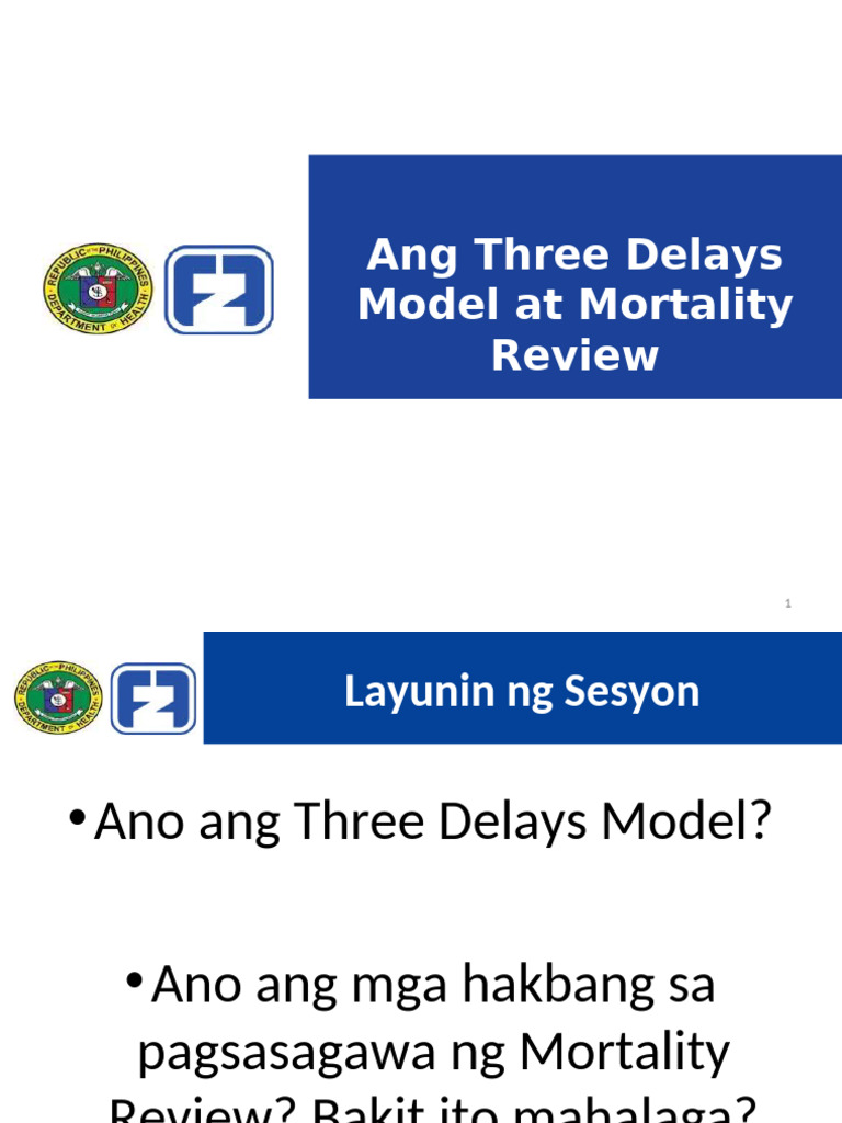 7 The 3 Delays Model at Mortality Review | PDF