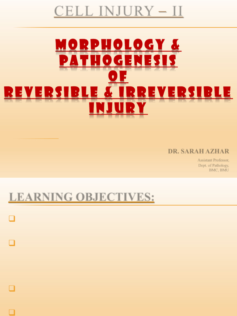 Cell Injury # 2 Reversible & Irreversible Cont.. | PDF | Radical (Chemistry) | Antioxidant