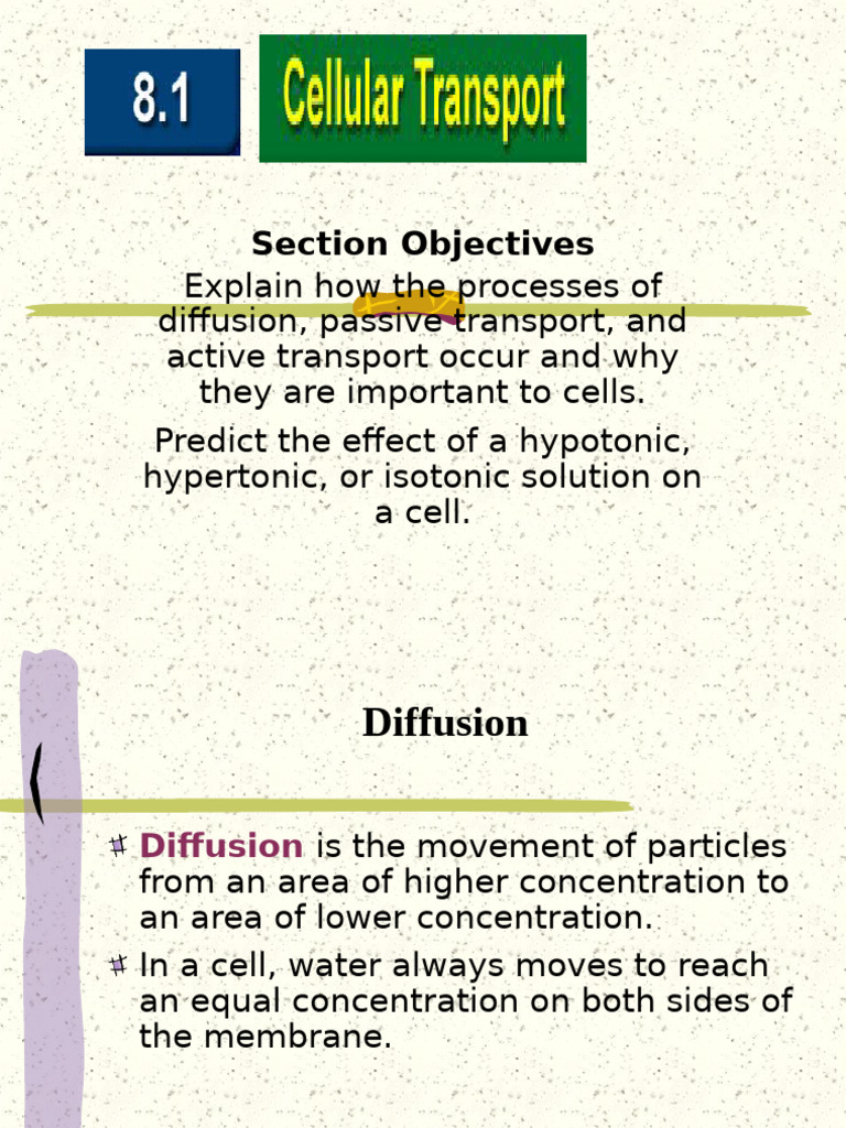Osmosis Diffusion Active - Transport | PDF | Osmosis | Cell Membrane