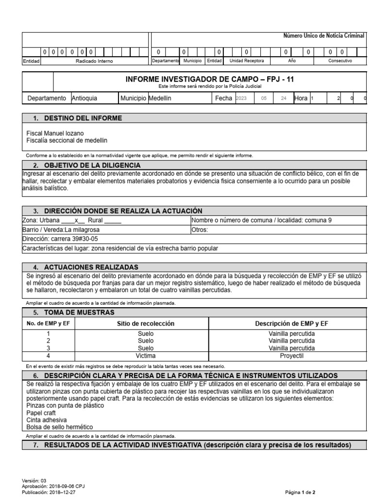 FPJ-11-Informe-Investigador-de-Campo-V-0 | PDF