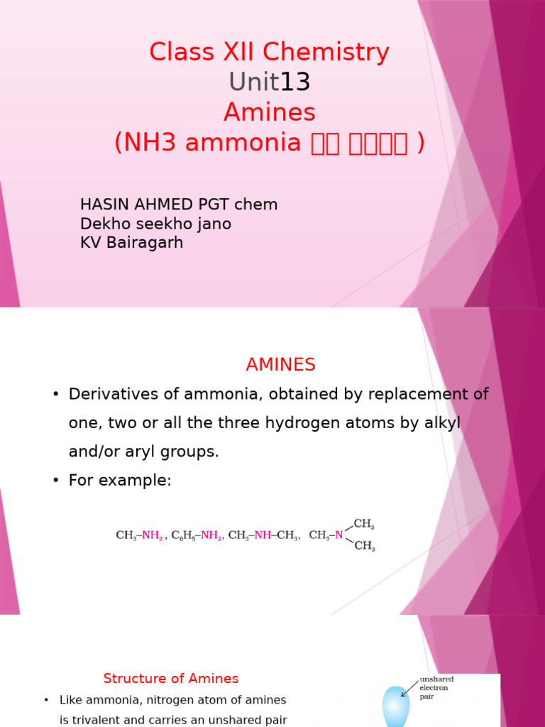Class 12 Chapter 13 Amines | PDF | Amine | Chemical Reactions