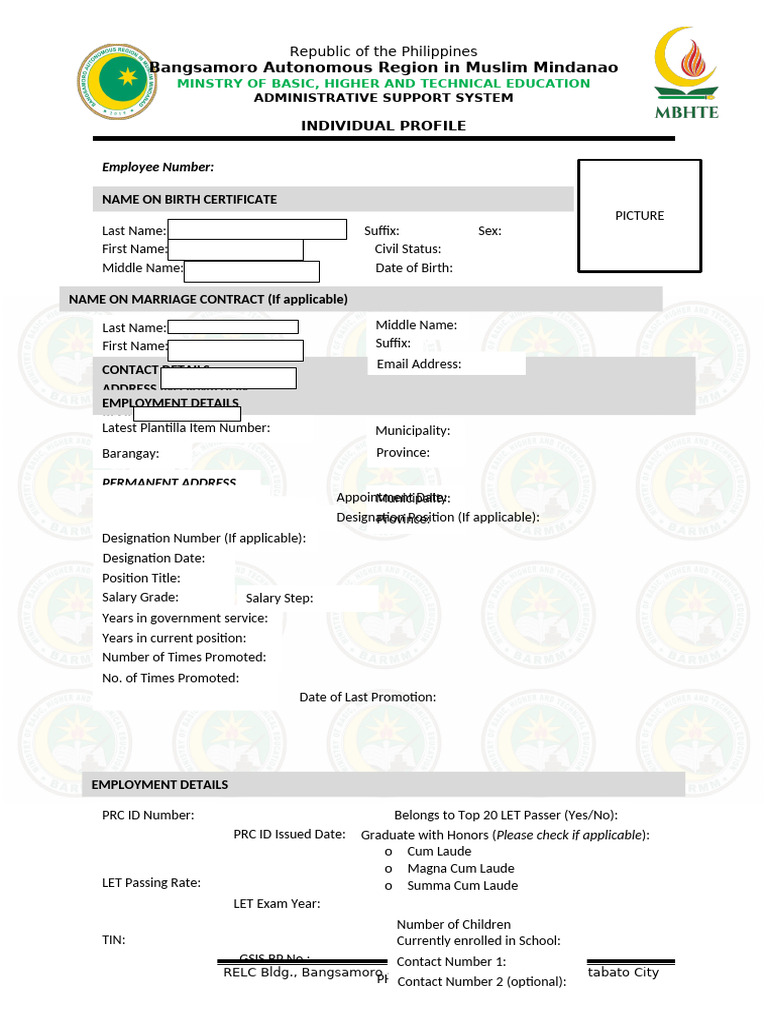 Report Individual Profile 2025 | PDF