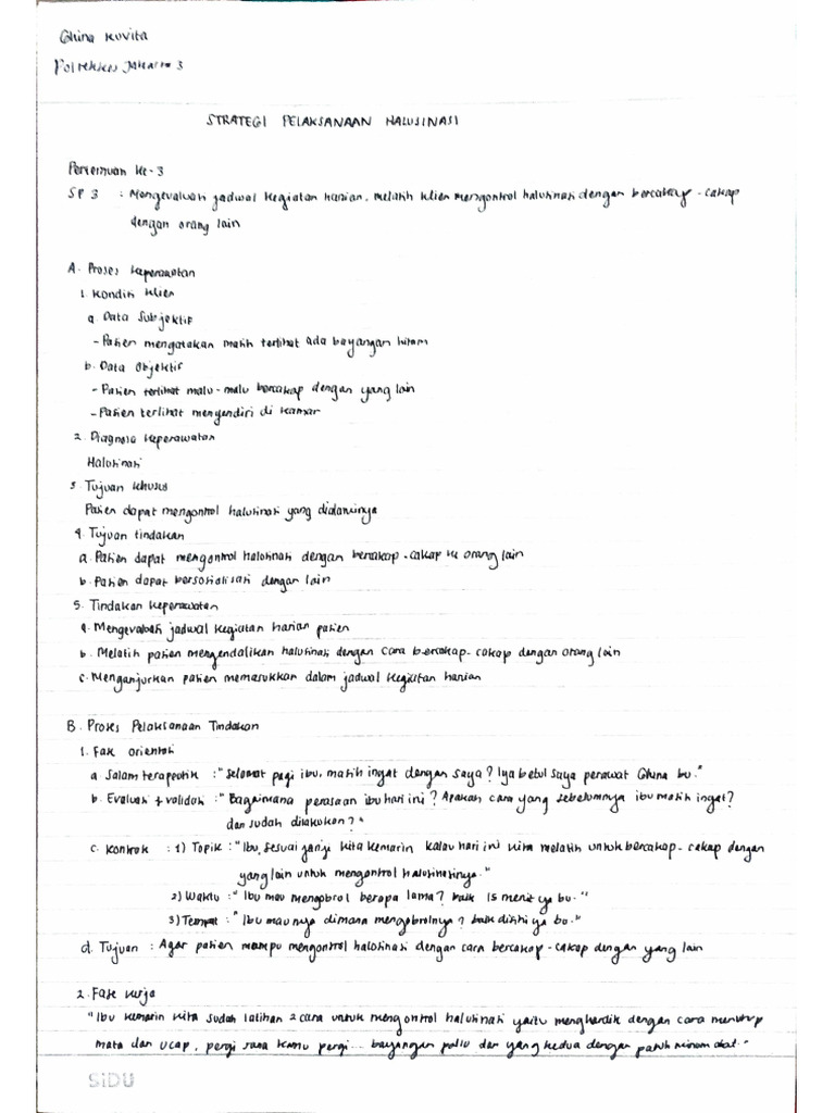 SP 3 Halusinasi | PDF