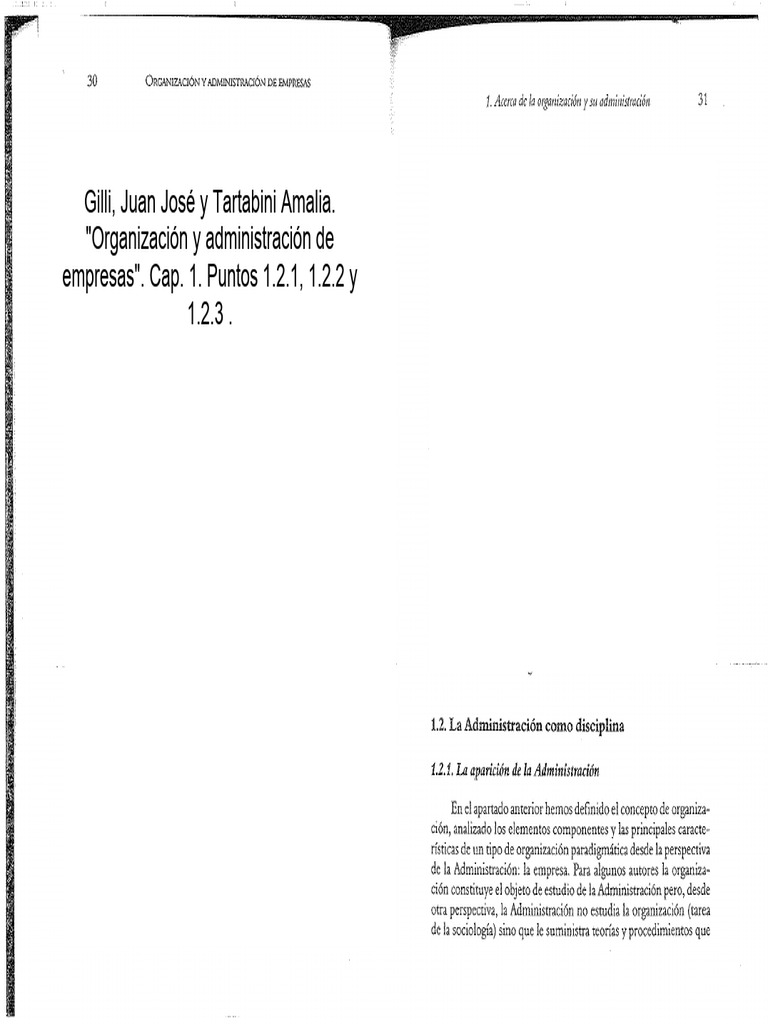 Unidad 1 - Texto 1.ORGANIZACION Y ADMINISTRACION DE EMPRESAS - GILLI - Cap 1-Parte 2 | PDF