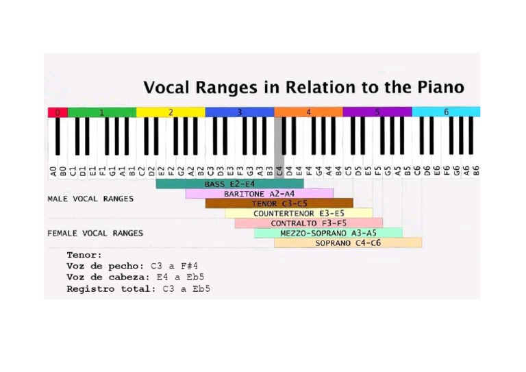 Rango Vocal - Tenor | PDF