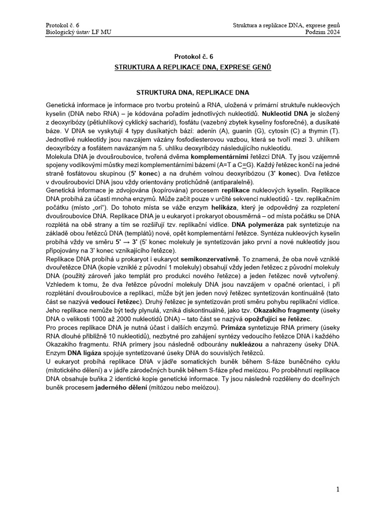 Protokol Bio 6 | PDF