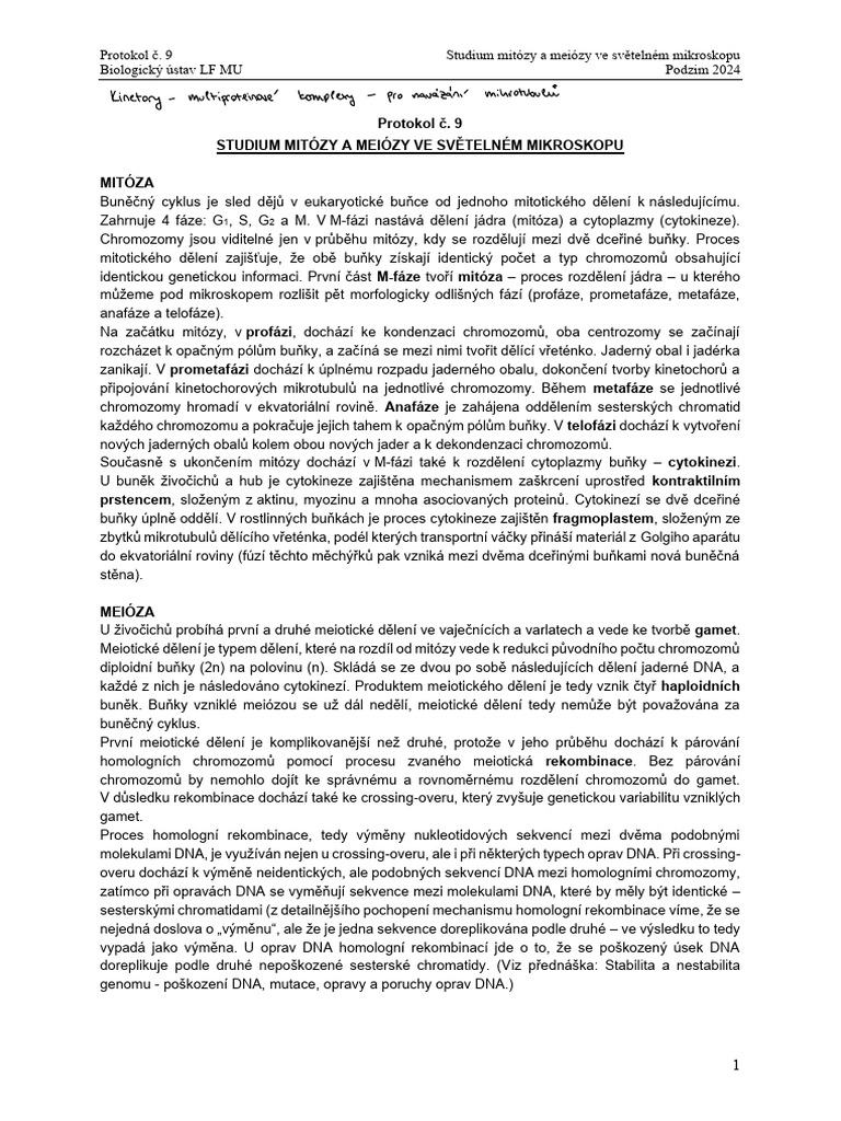 Protokol Bio 9 | PDF