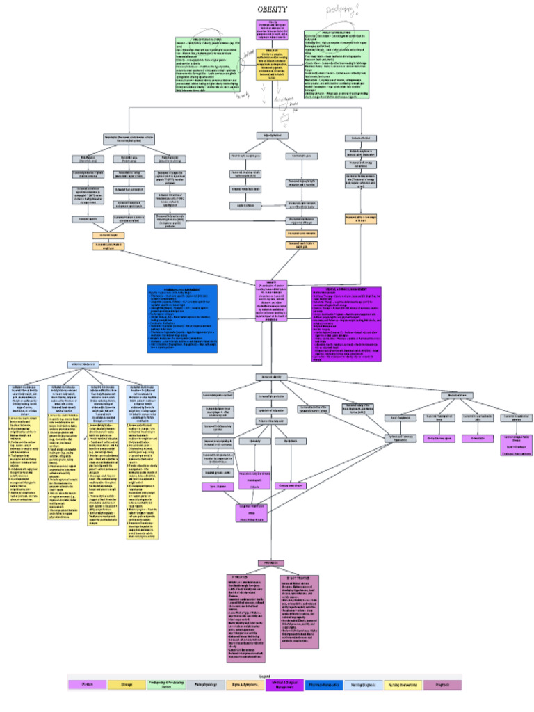 Esplanada - Concept Map - Obesity | PDF | Obesity | Leptin