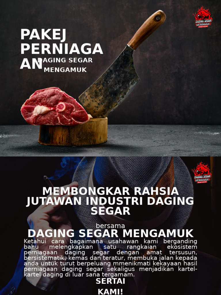 DSM BUSINESS PLAN - DSF VERSION | PDF