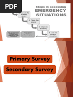 Secondary Survey in First Aid | PDF