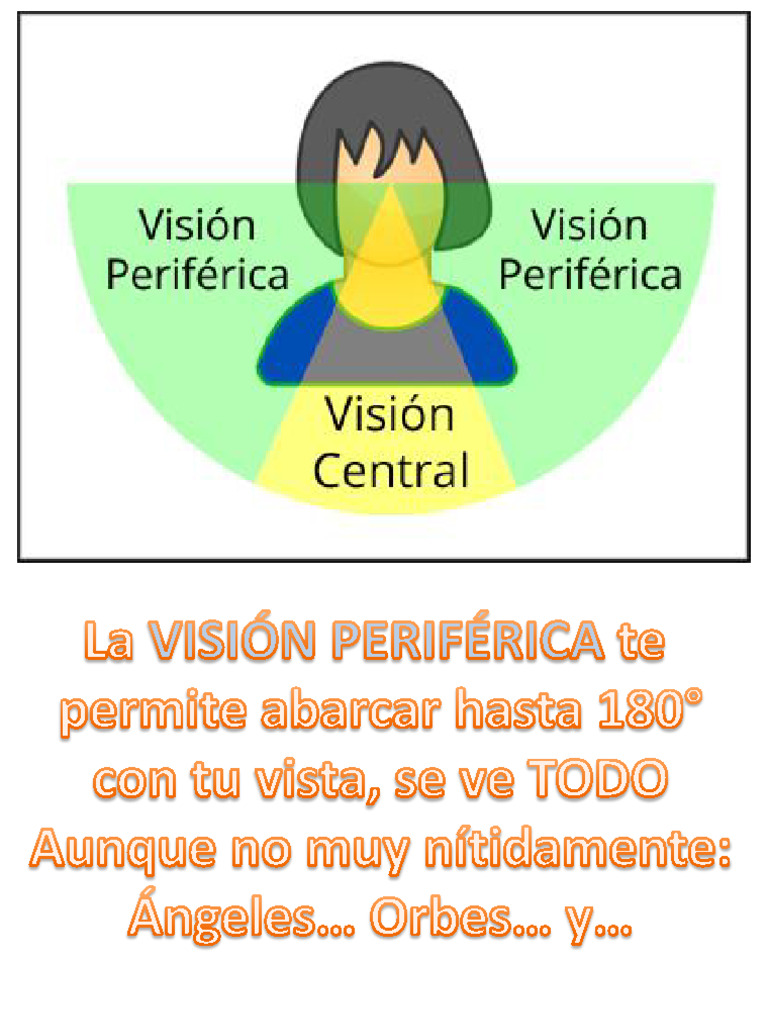 Vision Periferica 1 | PDF
