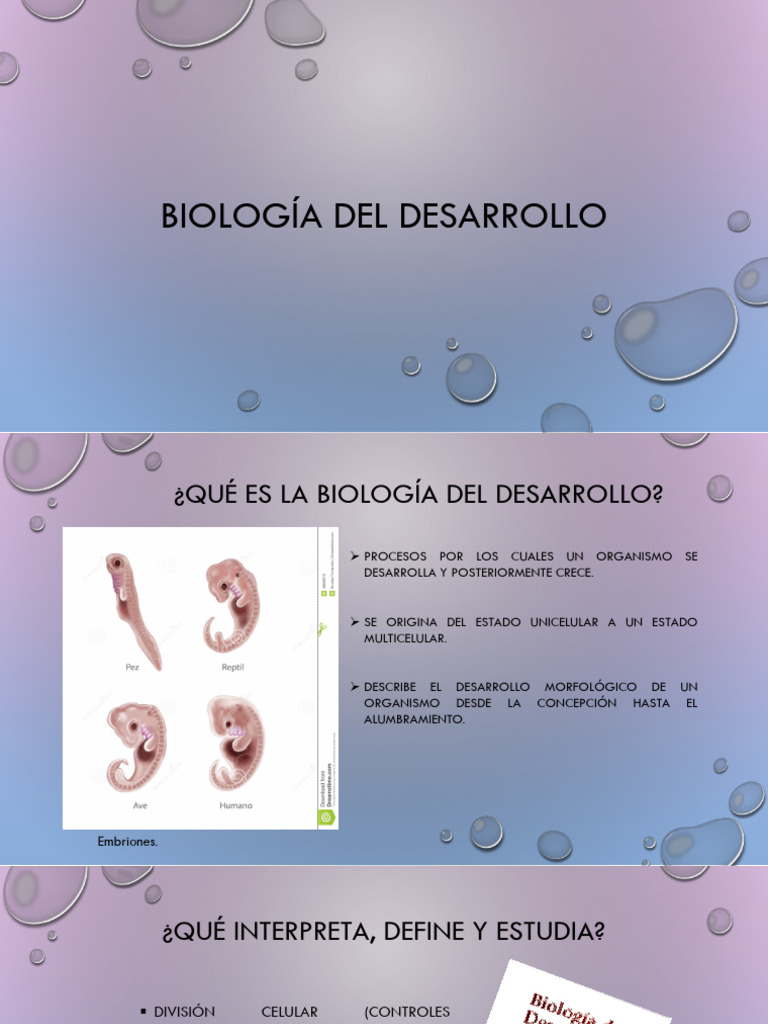 Biología Del Desarrollo | PDF | Biología del desarrollo | Morfología ...
