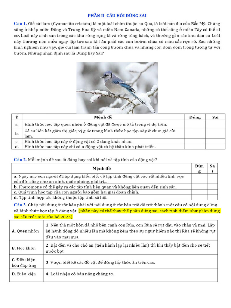 Cau Hoi Dung Sai Tap Tinh o Dvdocx - 1600 - PDF - Gdrive.vip | PDF