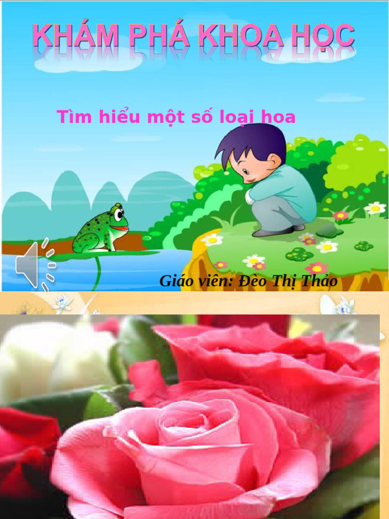 Kham Pha Hoa Hong Hoa Cuc Hoa Dong Tien | PDF
