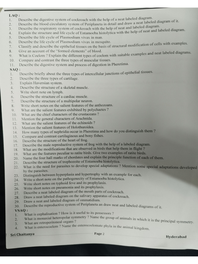 Ts JR Ipe Zoology Saq | PDF