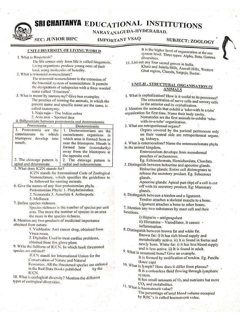 Ts JR Ipe Zoology Vsaq | PDF