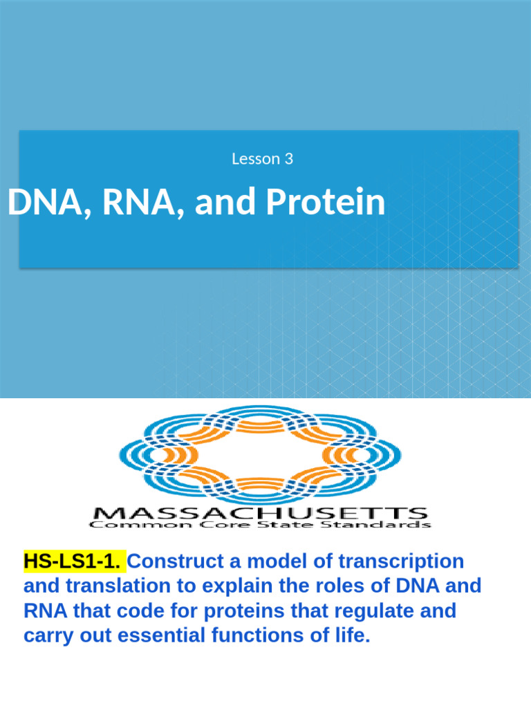 11.3+DNA RNA and +protein | PDF | Rna | Translation (Biology)