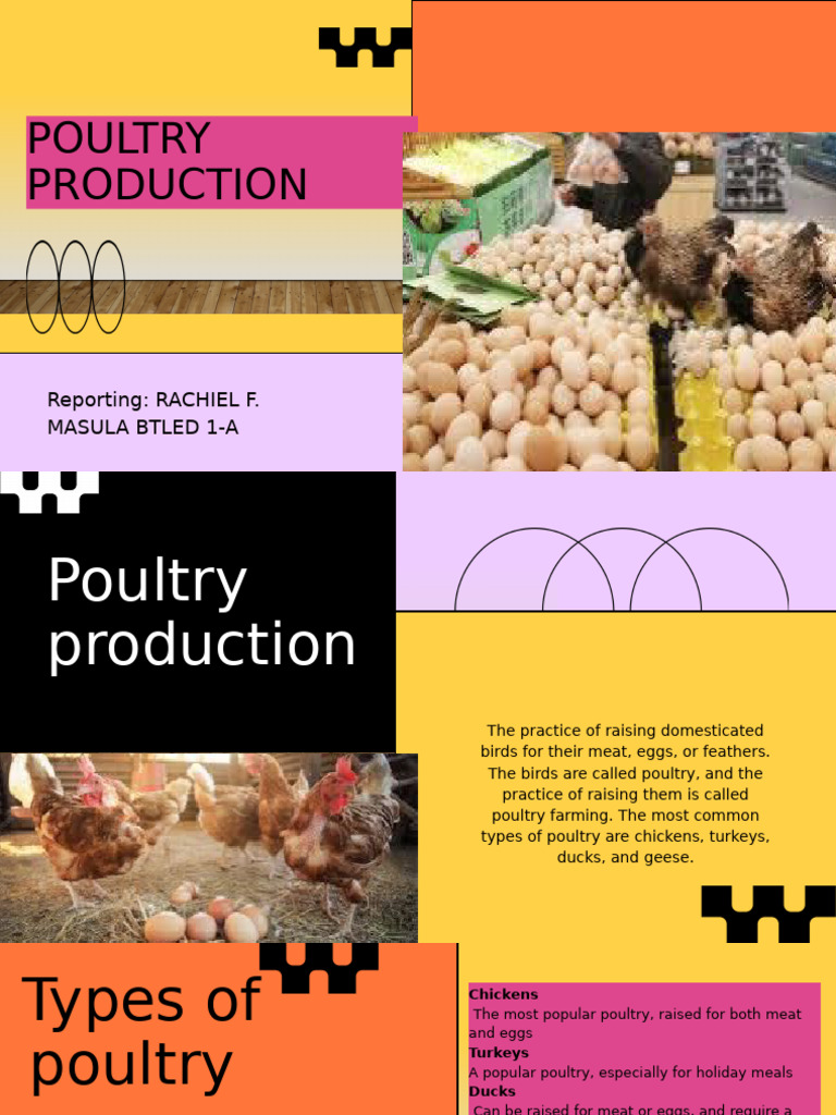 Poultry Production TLE5 | PDF | Poultry | Chicken