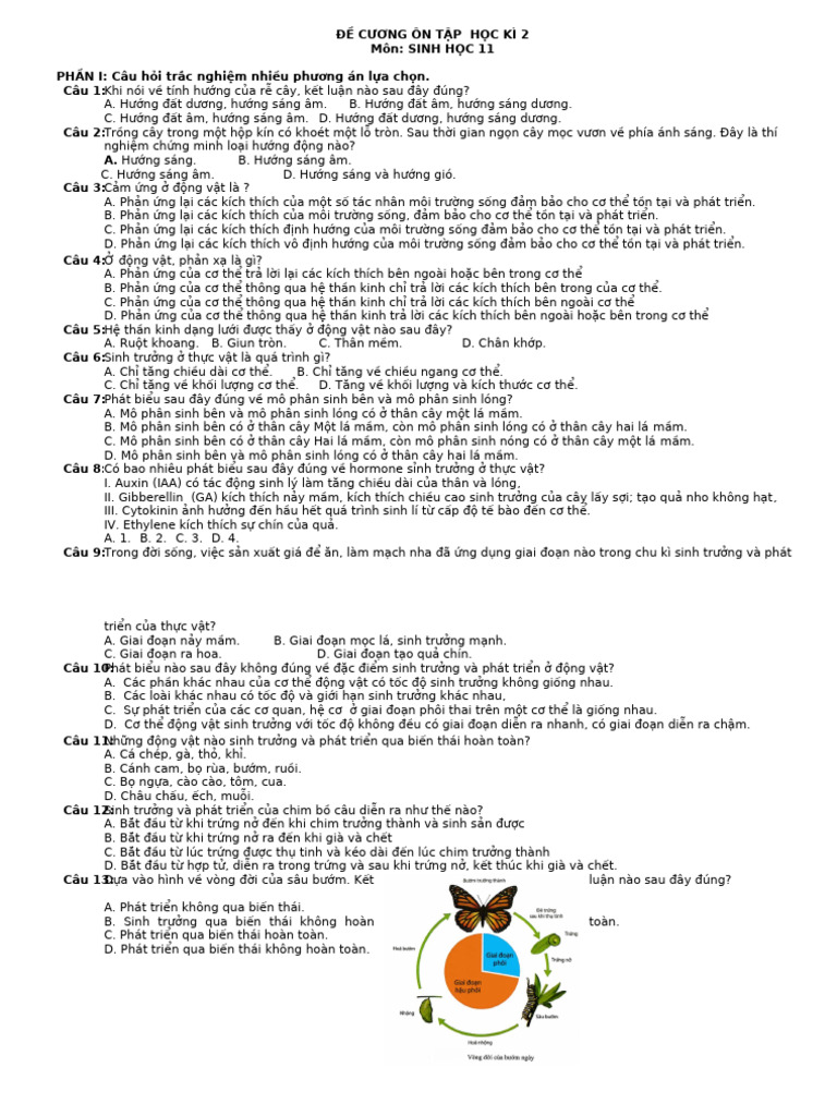 ĐỀ CƯƠNG ÔN TẬP SINH 11 - HK 2 (1) | PDF