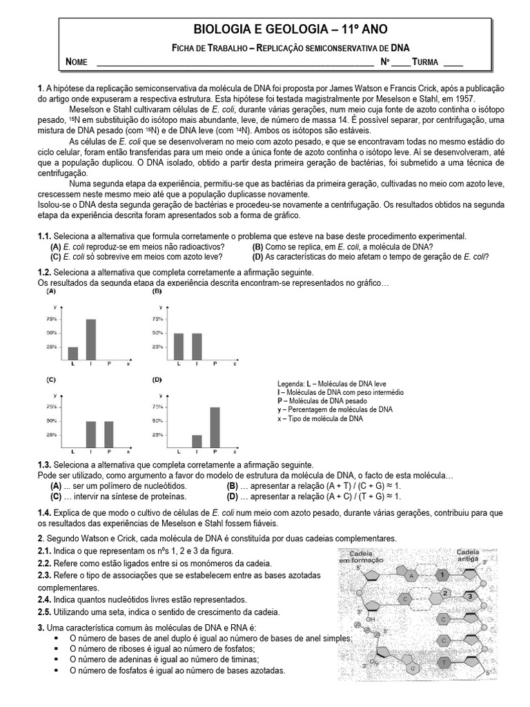 Replicação Semiconservativa-Ccorr | PDF | Replicação de DNA | DNA