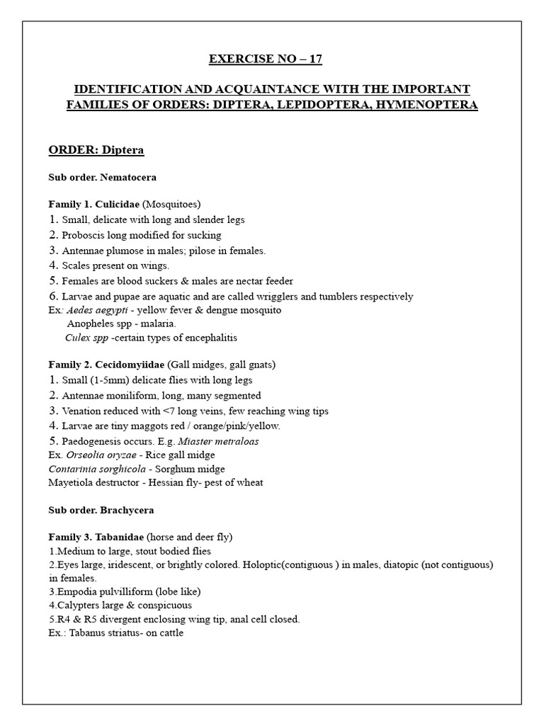 Key Insect Families: Diptera & Lepidoptera | PDF | Mosquito | Fly