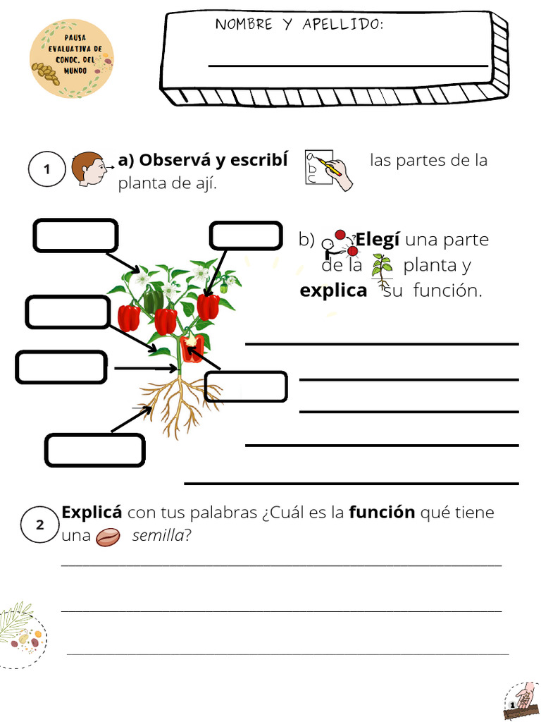 4° Bim. Arreglada PAUSA EVALUATIVA DE CONOC DEL MUNDO (2) | PDF ...