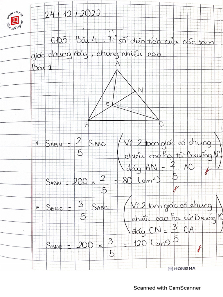 5.2A NDBH + BTVN (24.12) | PDF